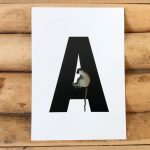 Letterkaartje D van Duif - Little green planet