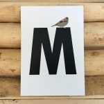 Letterkaartje D van Duif - Little green planet